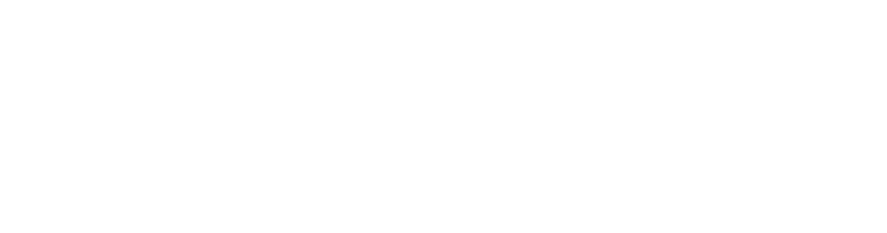 Mercy Hospital of Buffalo | Snapshot