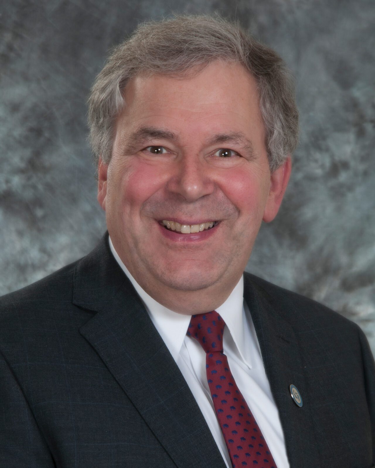 Board of Directors | Snapshot